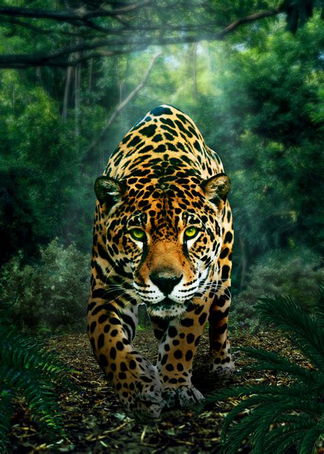 Artstation Jungle Leopard