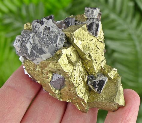 Golden Yellow Chalcopyrite With Sphalerite And Galena Crystal