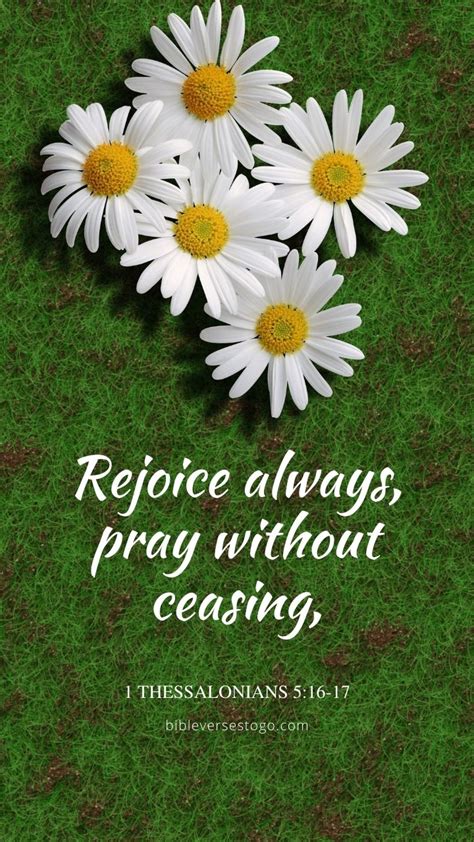 Scripture Wallpaper 1 Thessalonians 516 Bible Verse Wallpaper Images