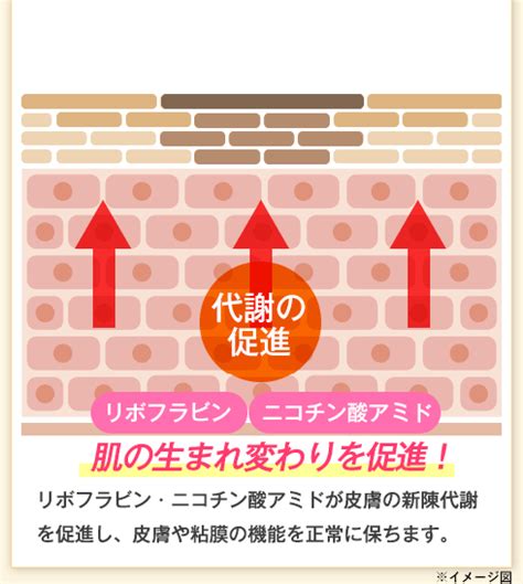 公式キミエホワイト しみそばかすに 富山常備薬