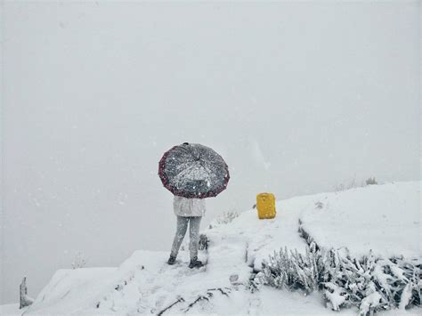 Quietcation Silent Travel For Deep Rest —