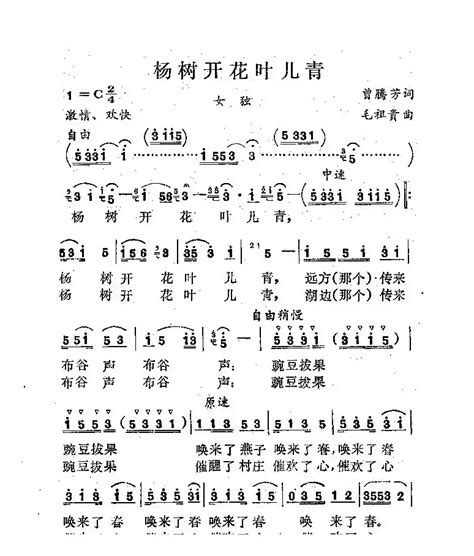 民歌谱 杨树开花叶儿青 曾腾芳 毛祖贵 杨环英民歌乐谱