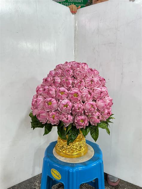 พานดอกบัวสด พวงมาลัยงานแต่ง กรวยบวชนาค ต้นกวนอิม ร้านปิ่นทิกะ ฟลาวเวอร์ ดอกไม้ประดิษฐ์