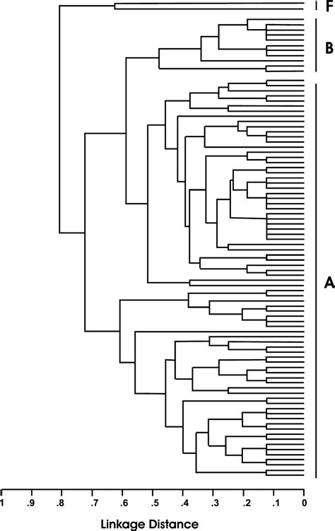 Multilocus Vntr Analysisbased Dendrogram Eight Vntr Loci Were Analyzed