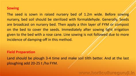 Cabbage Ppt Horticulture Guruji