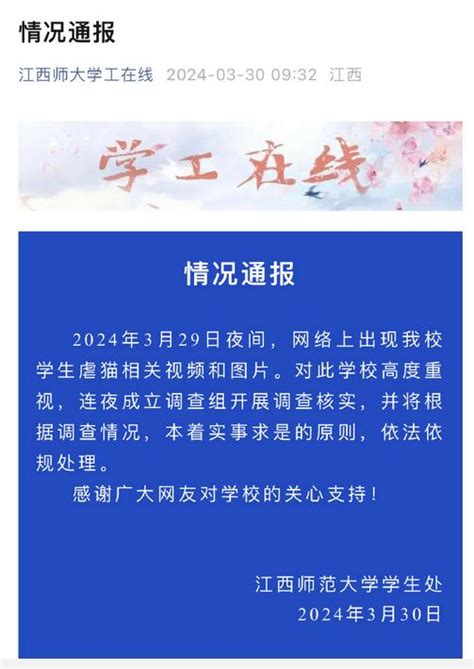 大学男生宿舍虐猫，江西师大通报：连夜成立调查组澎湃号·媒体澎湃新闻 The Paper
