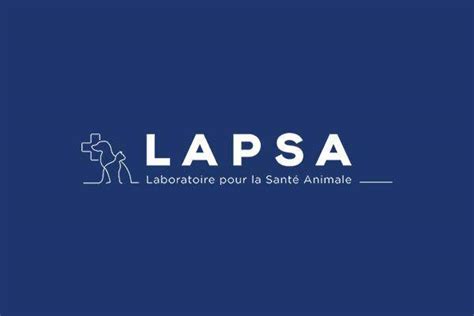 Lapsa