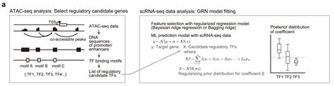 In Silico Perturbations Leveraging Single Cell Seq To Perform Perturbation Experiments