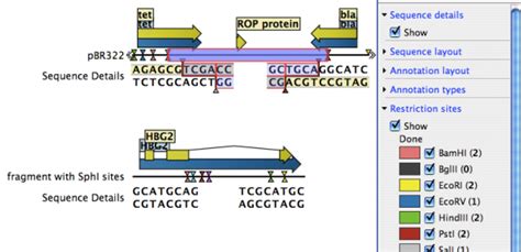 CLC Main Workbench HSLS MolBio Available Software LibGuides At
