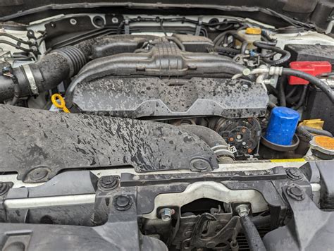 Spray Under Hood? : r/MechanicAdvice