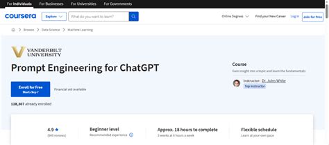 🚀 learning to utilise the power of prompt engineering in my data science journey