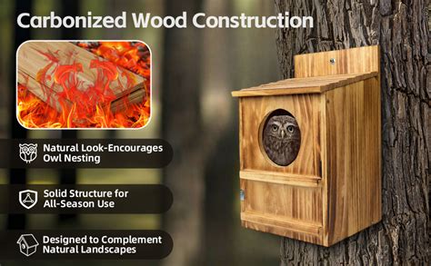 Owl Houses Nesting Boxes Screech Owl Nesting Box