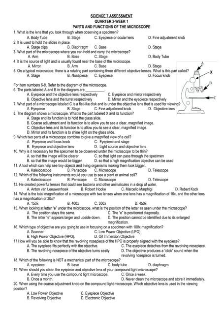 Microscope Summative Assessment And Performance Taskdocx Microscope Summative Assessment And Performance Taskdocx