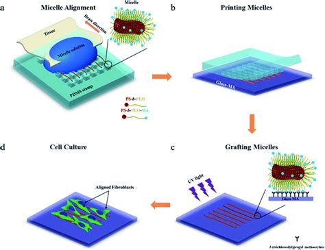 A Nano Fibrous Platform Of Copolymer Patterned Surfaces For Controlled Cell Alignment Rsc