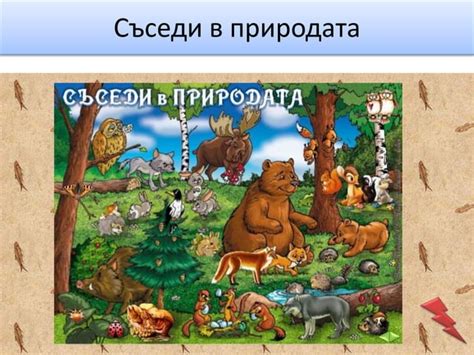съседи в природата 4 клас Ppt