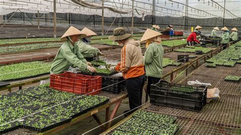Adb Launches New Country Partnership Strategy For Viet Nam Asian