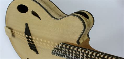 Shippey Mandolins A Multiscale Or Fan Fret 10 String Mandolin