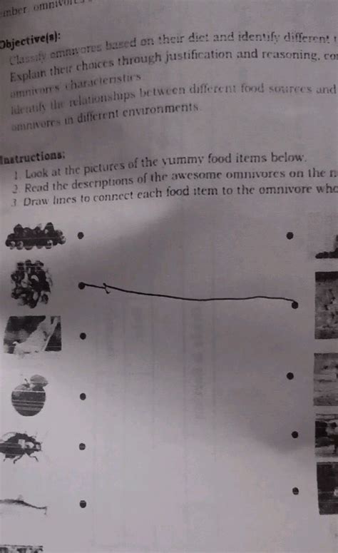 Objective S Classify Omnivores Based On Their Studyx