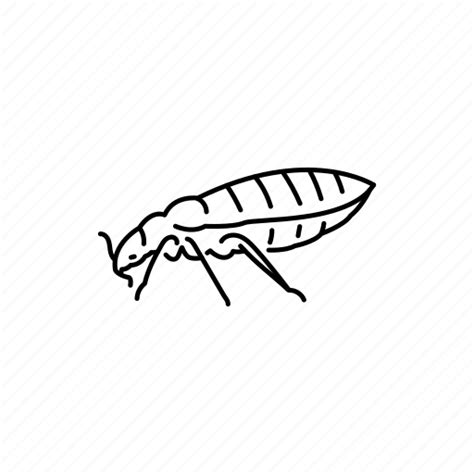 Insect Bug Icon Download On Iconfinder On Iconfinder