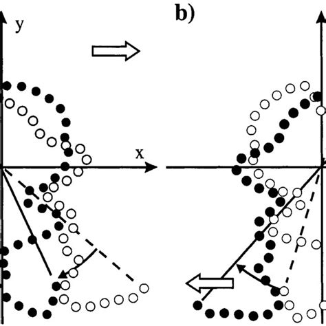 Representative States Visualizing The Coupling Between Deformation And Download Scientific