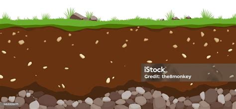 토양 층의 표면 지평선 유기물과 돌이 혼합된 지구 구조 플랫 만화 고생물학 배경 일러스트레이션 지질학 0명에 대한 스톡 벡터 아트 및 기타 이미지 Istock