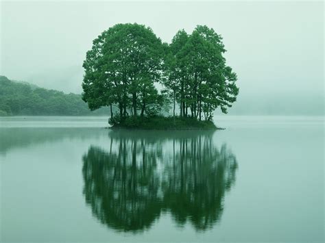 Wallpaper Sunlight Landscape Lake Water Nature Reflection Grass