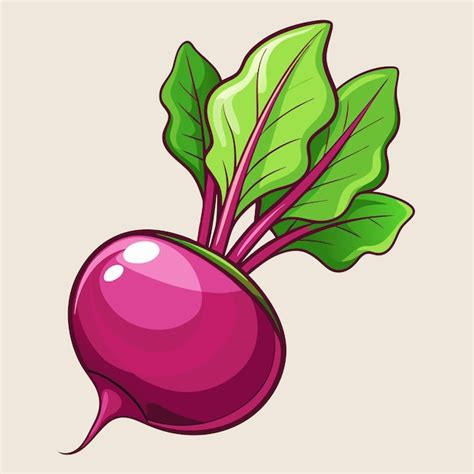 Fresh Beetroot Vegetable Vector Template Premium Ai Generated Vector