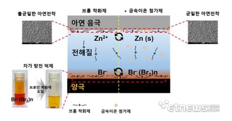 테크비즈코리아 2023 Gist 아연 브롬 수계 전지용 덴드라이트 억제 전해질 첨가제