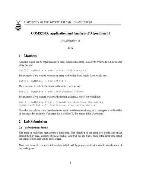 Lab 11 Pdf String Computer Science Matrix Mathematics
