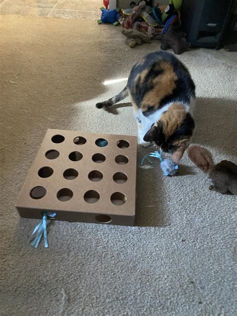 Frisco Interactive Wooden Cat Toy Box With Catnip