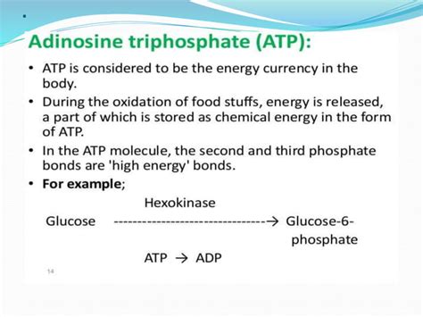 Cofactor Binding Bioinformatics Ppt