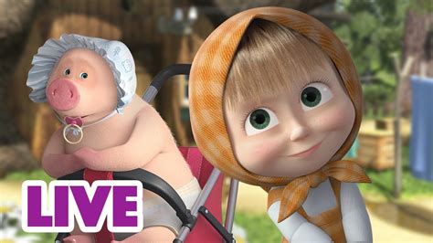 EN VIVO Masha Y El Oso Castellano Bienvenidos A Todos Masha And The Bear YouTube