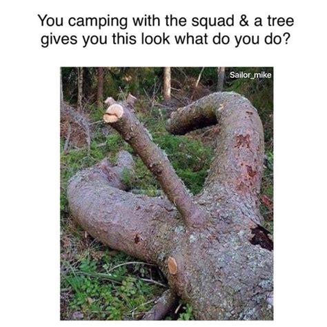 Nsfw Memes R Internetcity