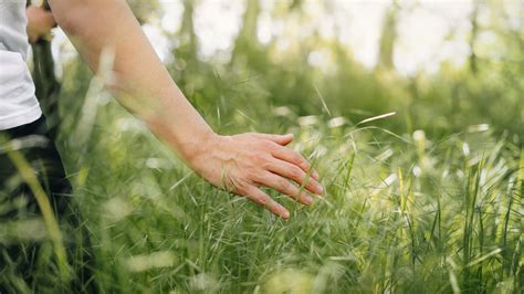Touching Grass What It Means And How To Do It Mashable