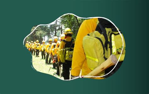 Día Nacional Del Combatiente Forestal 2022 Secretaría De Medio