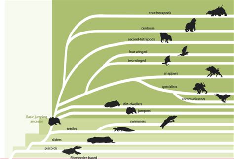 How To Read A Dendrogram The Institute Of Canine Biology