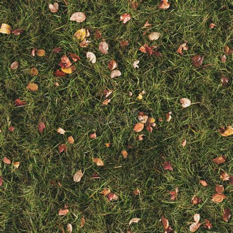 A Field Of Grass With Leaves Scattered On The Ground Seamless Texture