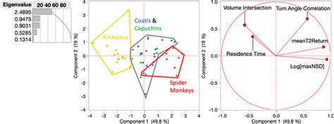 PCA Of Individual Values For Life History Phase Level Movement Download Scientific Diagram