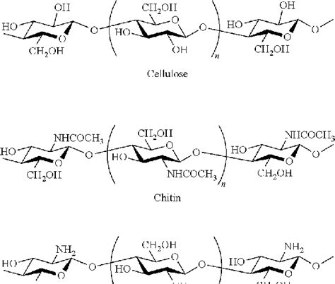 The Polysaccharide Chemical Structures Of Cellulose Chitin And