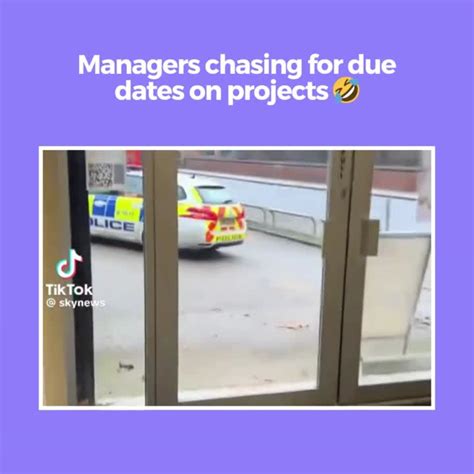 Projectmanagement Deadlines Business Imagen Insights