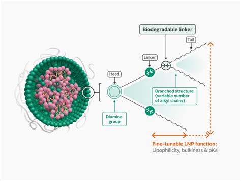 Lipid Nanoparticles Fujifilm Pharma