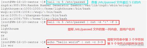 Linux命令之提取行指定范围内容cutlinux中去文件中每行特定字段 Csdn博客