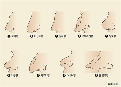 [건방진 퀴즈] 콧대 높으면 자존심 세…코 모양으로 보는 성격은 네이트 뉴스