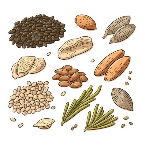 حزمة من البذور التوضيح خربش مرسومة باليد الحدائق Png صورة للتحميل مجانا