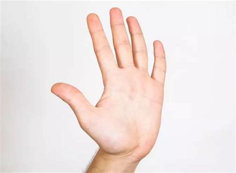 يا ترى فرق الطول بين أصبع السبابة والبنصر بيقول إيه عن شخصيتك؟ اليوم