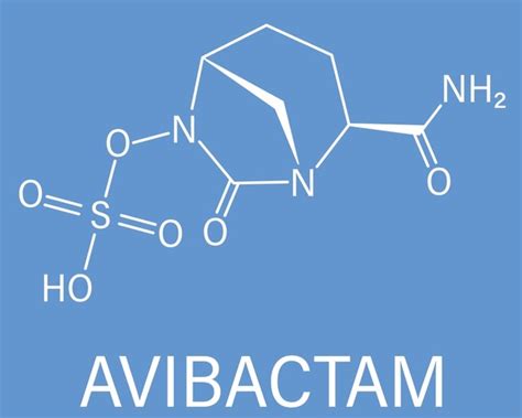 39 Beta Lactamase Inhibitor Stock Vectors And Vector Art Shutterstock