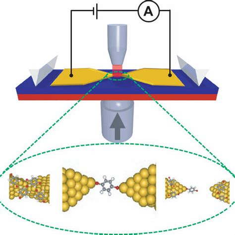 Color Online Schematic Image Of The Simultaneous Sers And