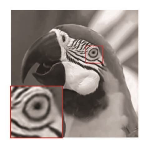Denoising results on image parrot with σ 20 a Nonconvex weighted lp