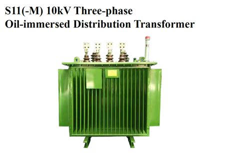 10kv Three Phase Oil Immersed Distribution Transformer
