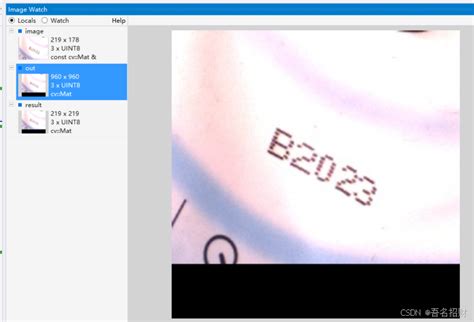使用openvino加速部署paddleocr文本检测模型（c版）ocr识别 Csdn专栏